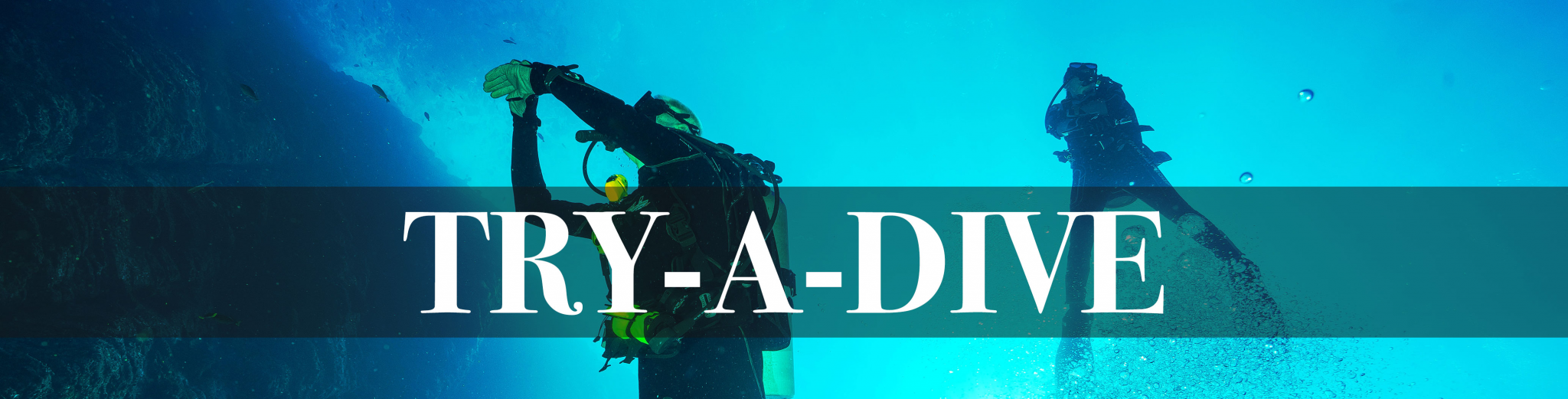 Try-A-Dive?